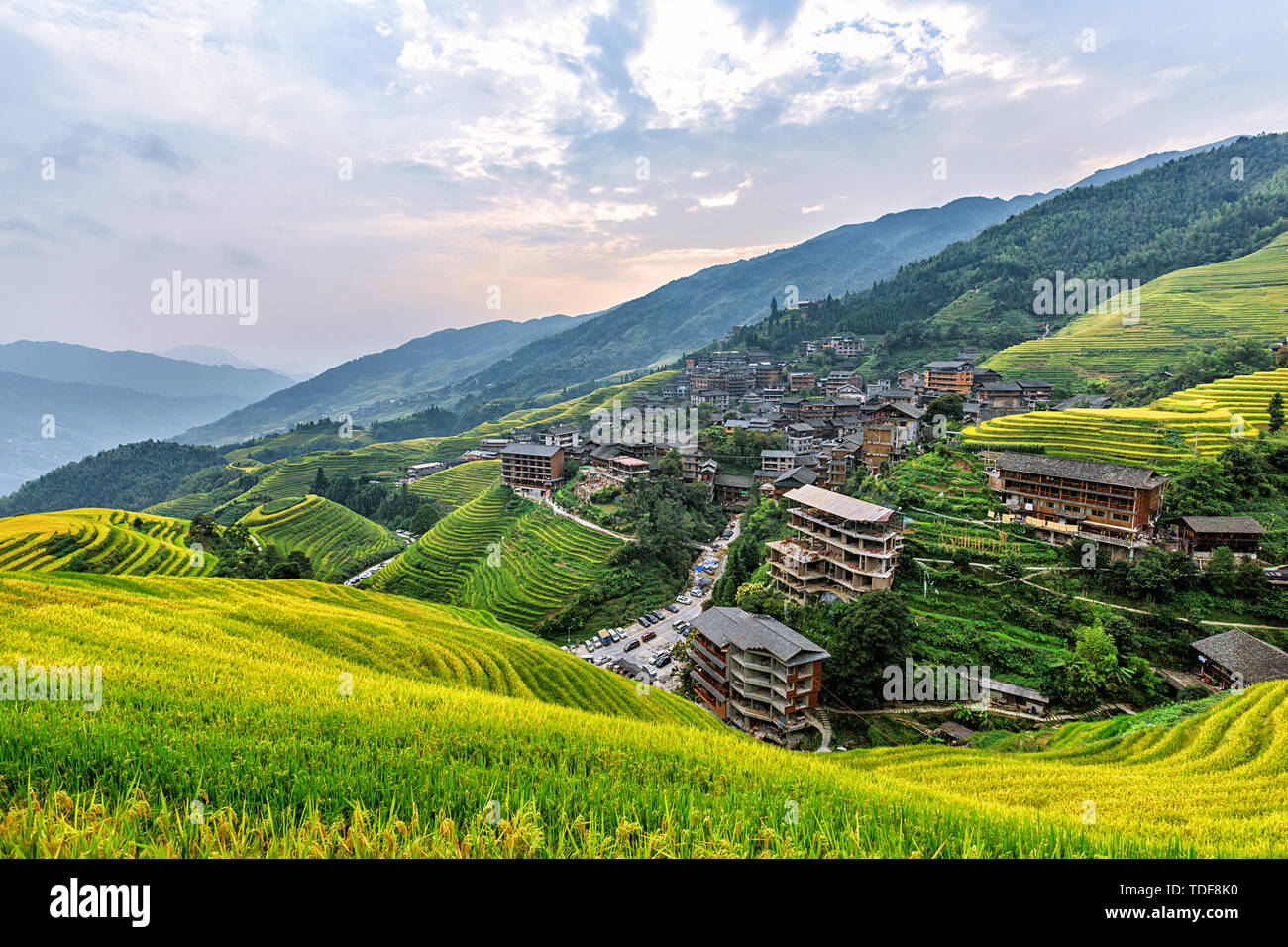 Longsheng terraces, sunset, rice, autumn, countryside Stock Photo - Alamy