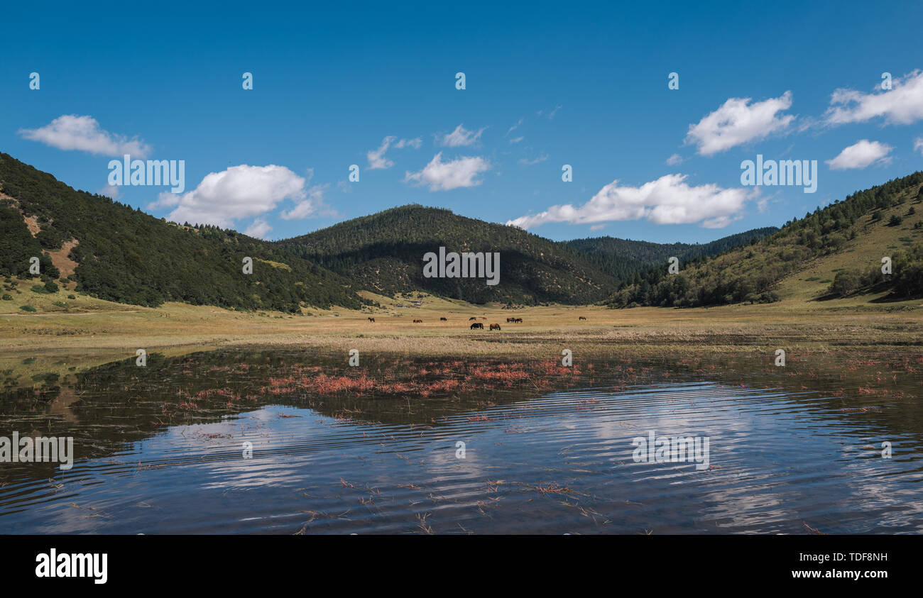 Pudacho National Park, Shangri-La County, Diqing Stock Photo - Alamy