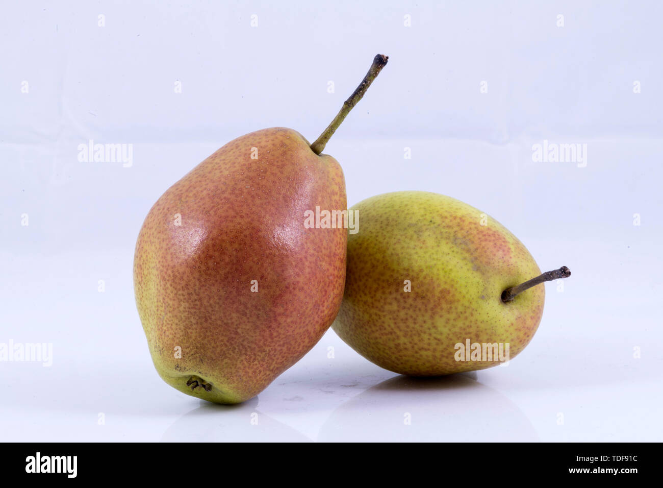 Autumn moon pear hi-res stock photography and images - Alamy