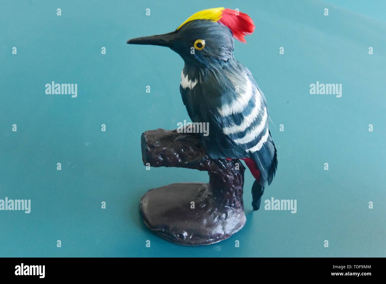 Kingfisher model hi-res stock photography and images - Alamy