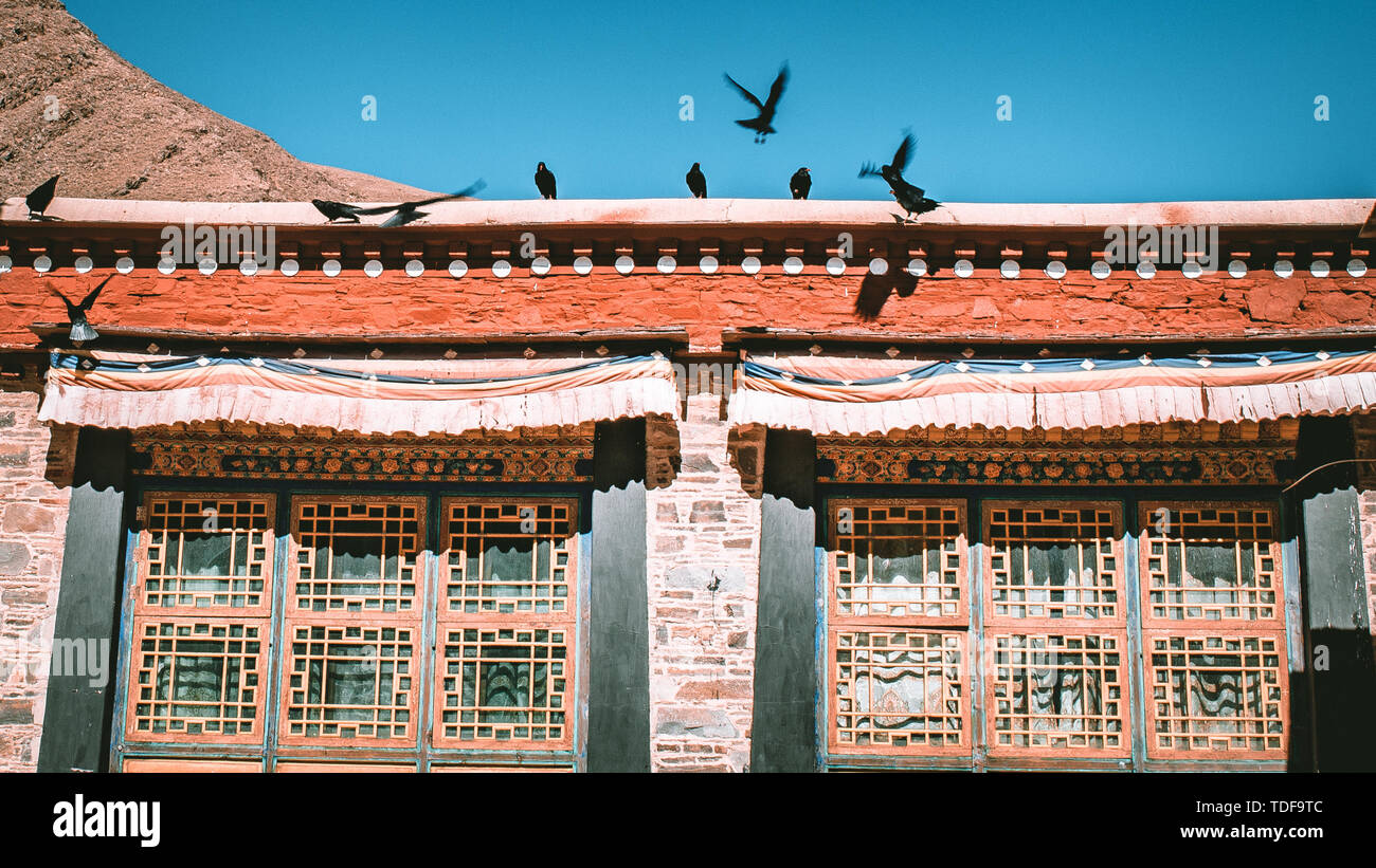 Red-billed crows on the eaves of the Min-Zhalin Temple in Tibet Stock ...