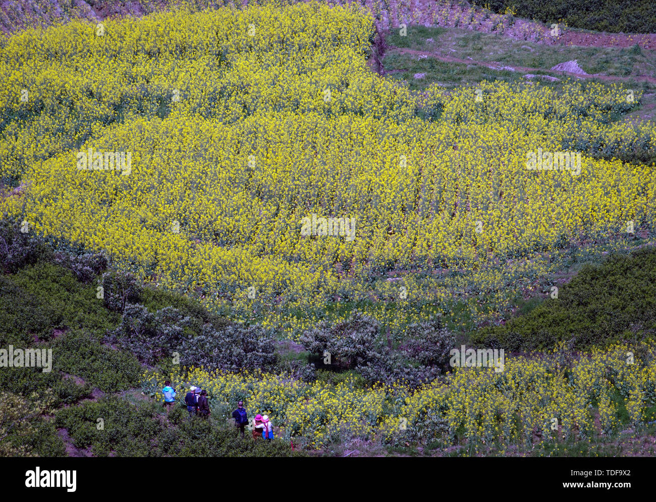 Ninghai county hi-res stock photography and images - Alamy