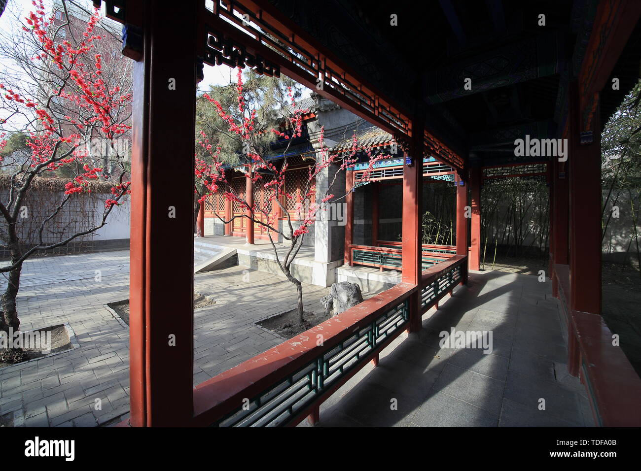 Nine of the Great View Garden of A Dream of Red Mansions: [Xiao Cui'an ...