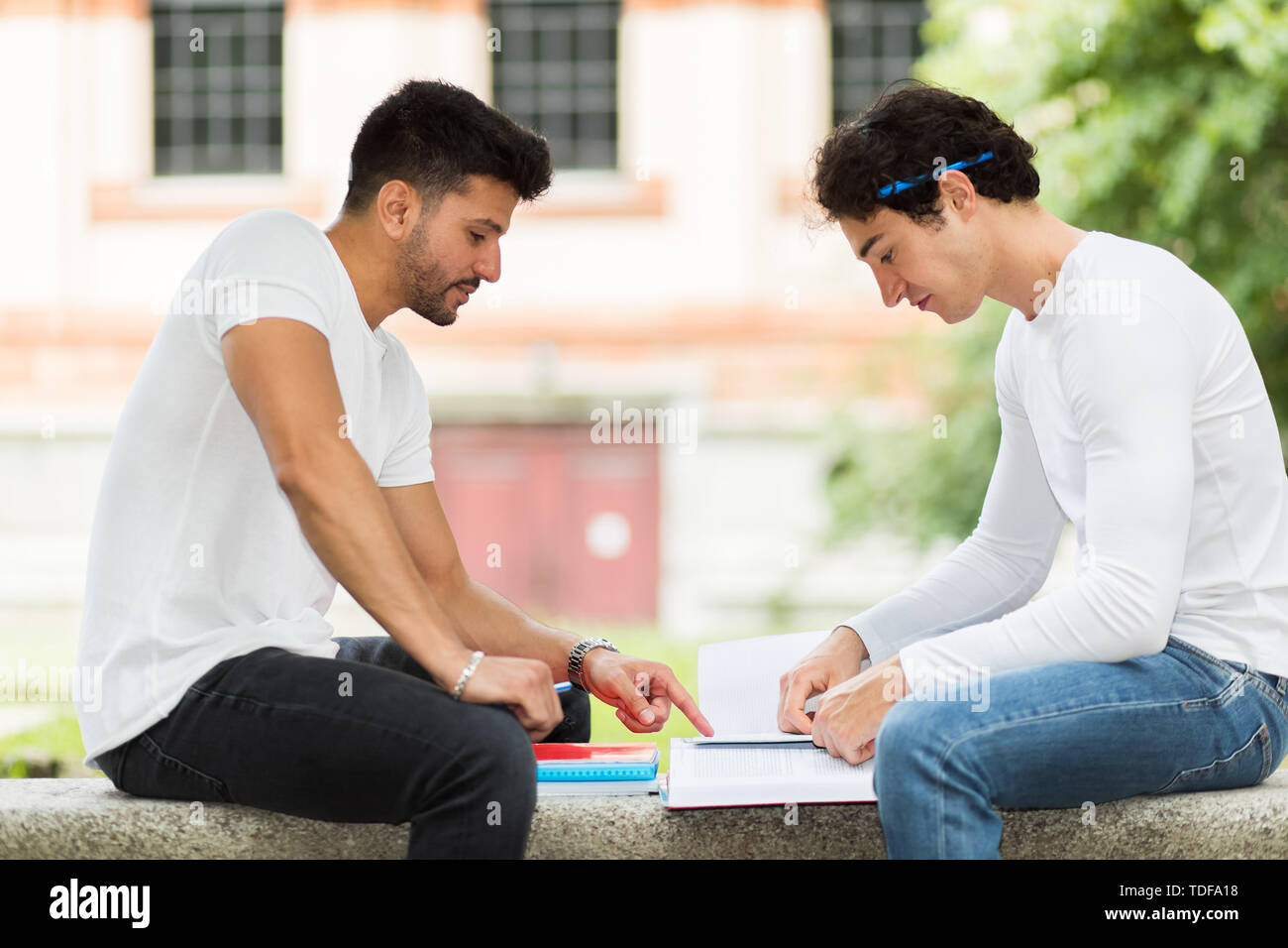 Two students studying together sitting on a bench outdoor Stock Photo ...