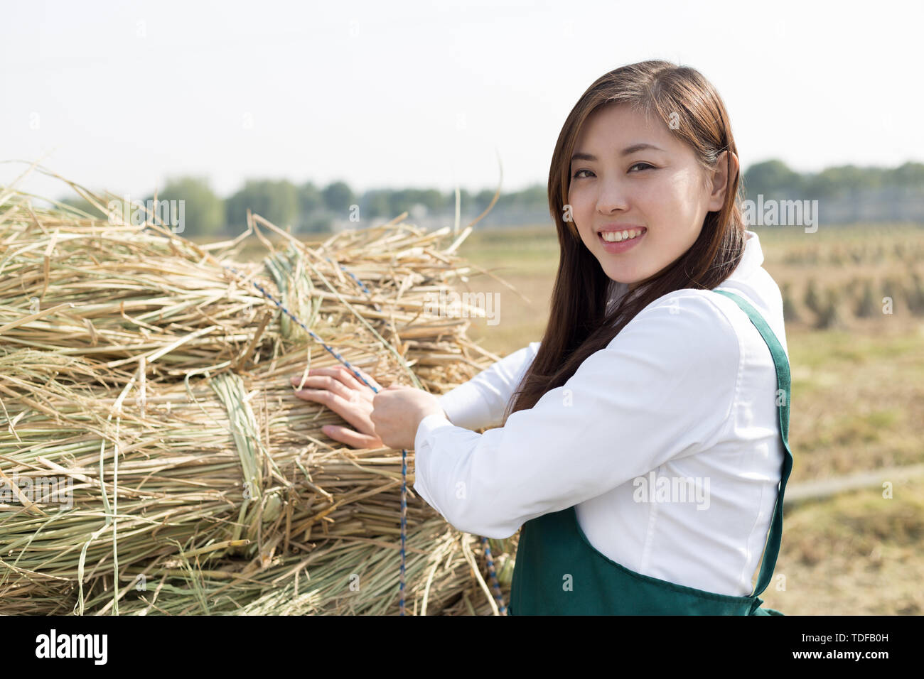 Chinese Farm Technology High Resolution Stock Photography and Images ...