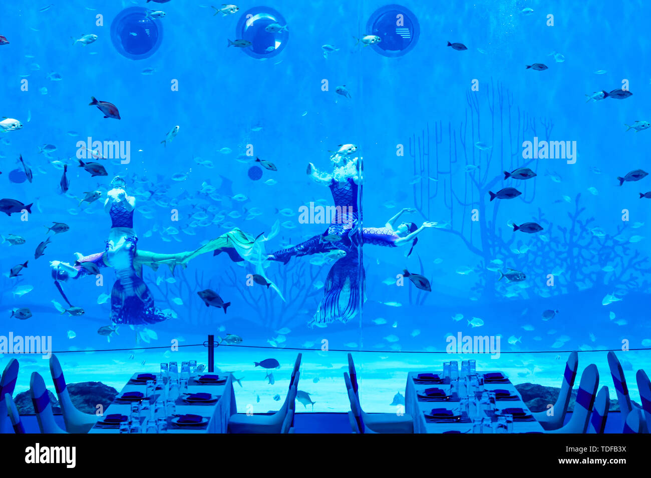 Mermaid performance at Haichang Ocean Park, Shanghai Stock Photo - Alamy