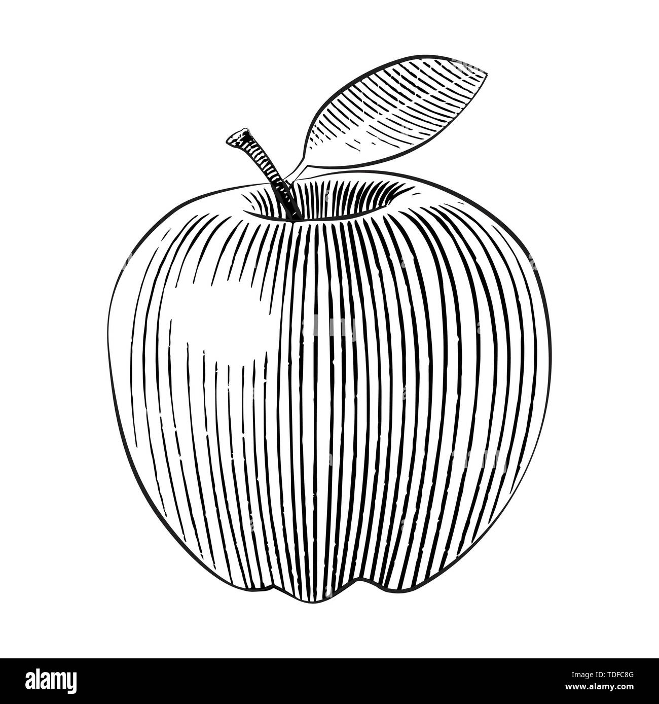 Woodcut Apple Illustration