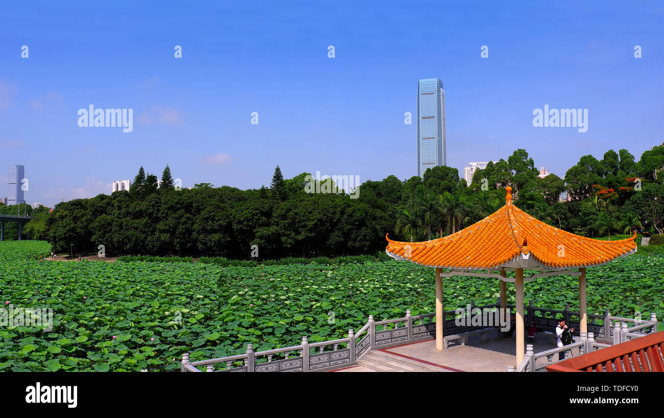 Honghu park park hi-res stock photography and images - Alamy