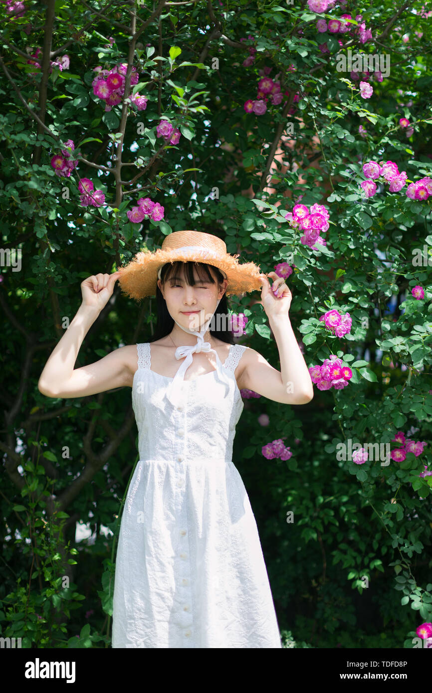 The rose figures Stock Photo - Alamy