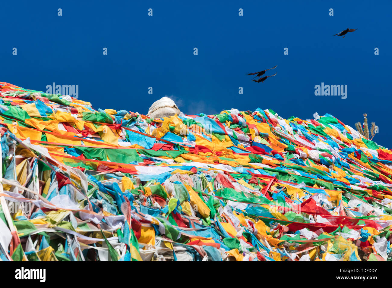 Prayer flags and crows praying on the wrong side of Ramla, Shenhu Lake ...