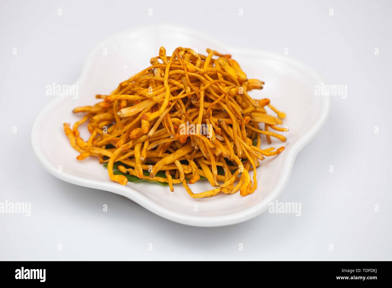 Insect mushroom hi-res stock photography and images - Alamy