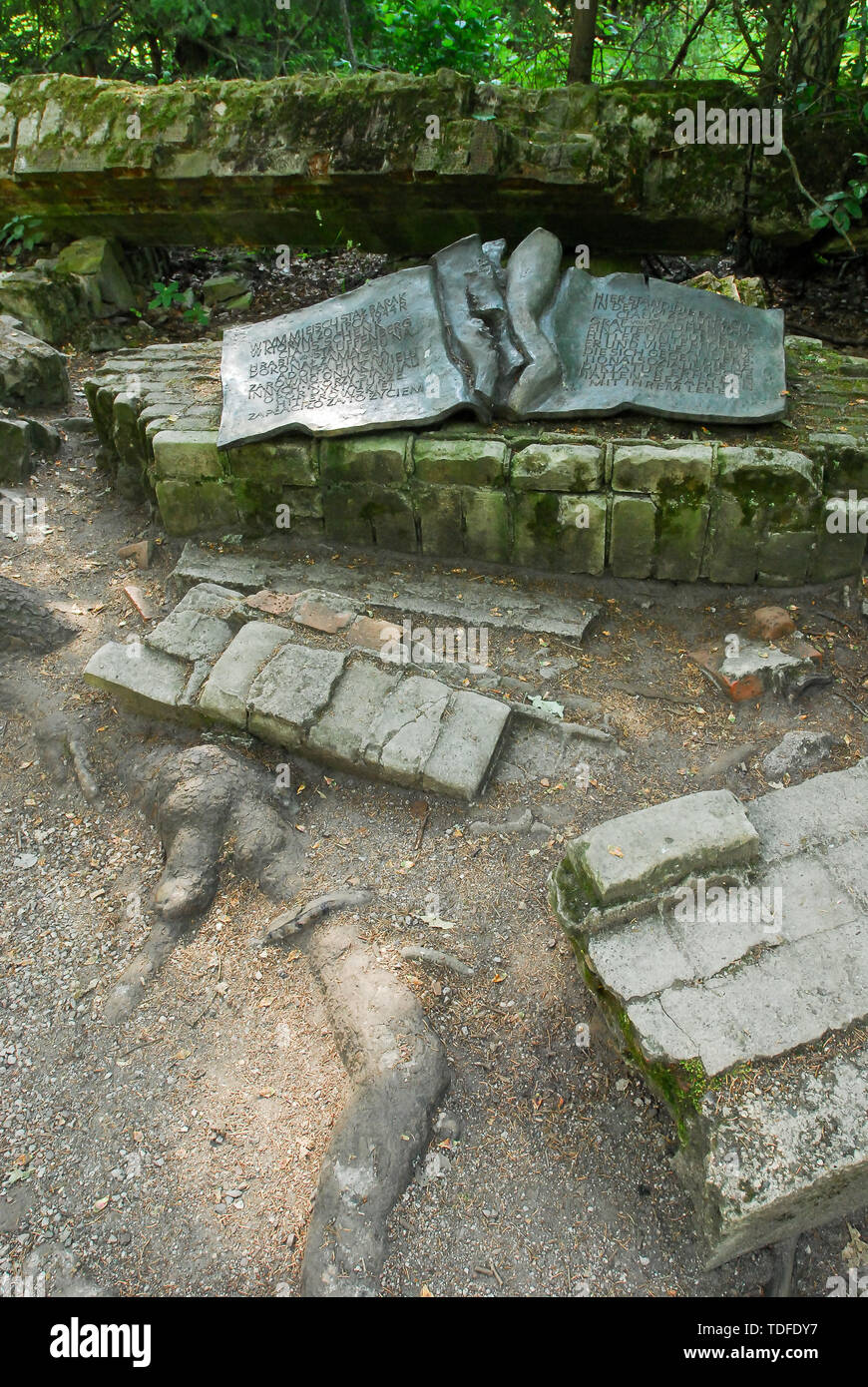 Wolf's lair hi-res stock photography and images - Alamy