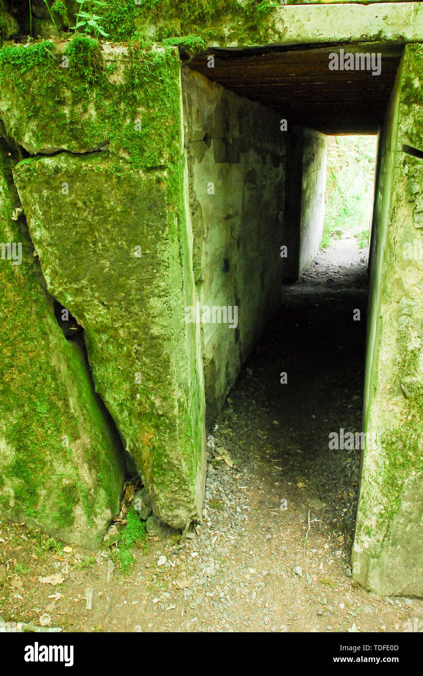 Guest bunker and air-raid shelter in Wolfsschanze (Wolf's Lair) in ...