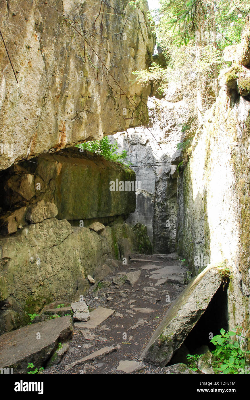 Guest bunker and air-raid shelter in Wolfsschanze (Wolf's Lair) in ...