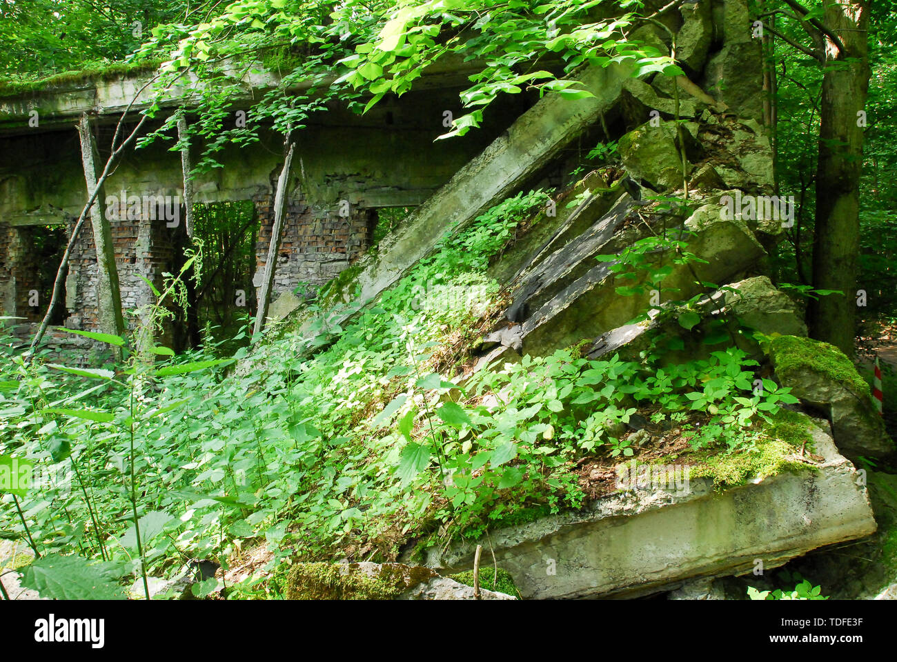 Radio and telex building in Wolfsschanze (Wolf's Lair) in Gierloz ...
