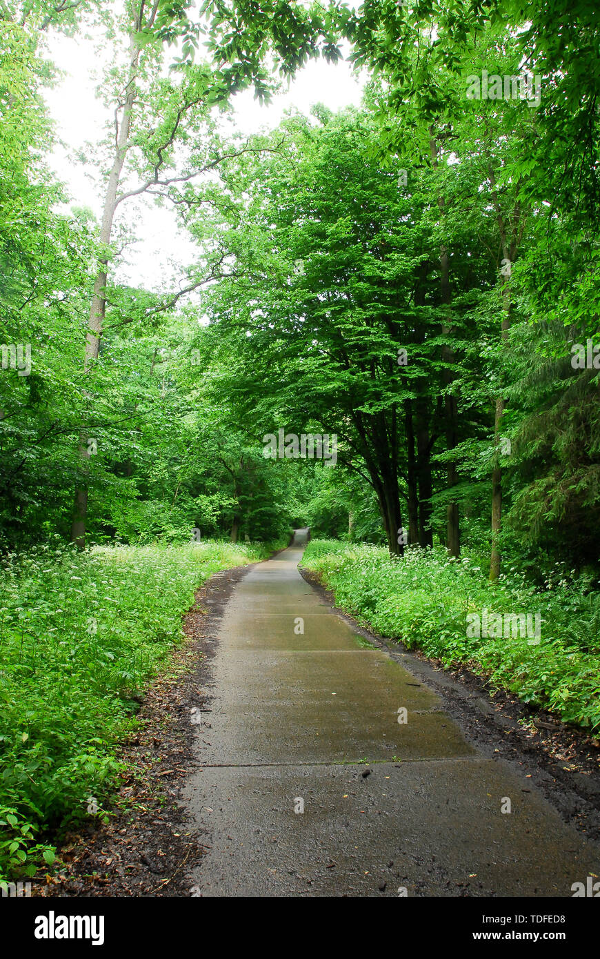 Hitlers headquarters hi-res stock photography and images - Alamy