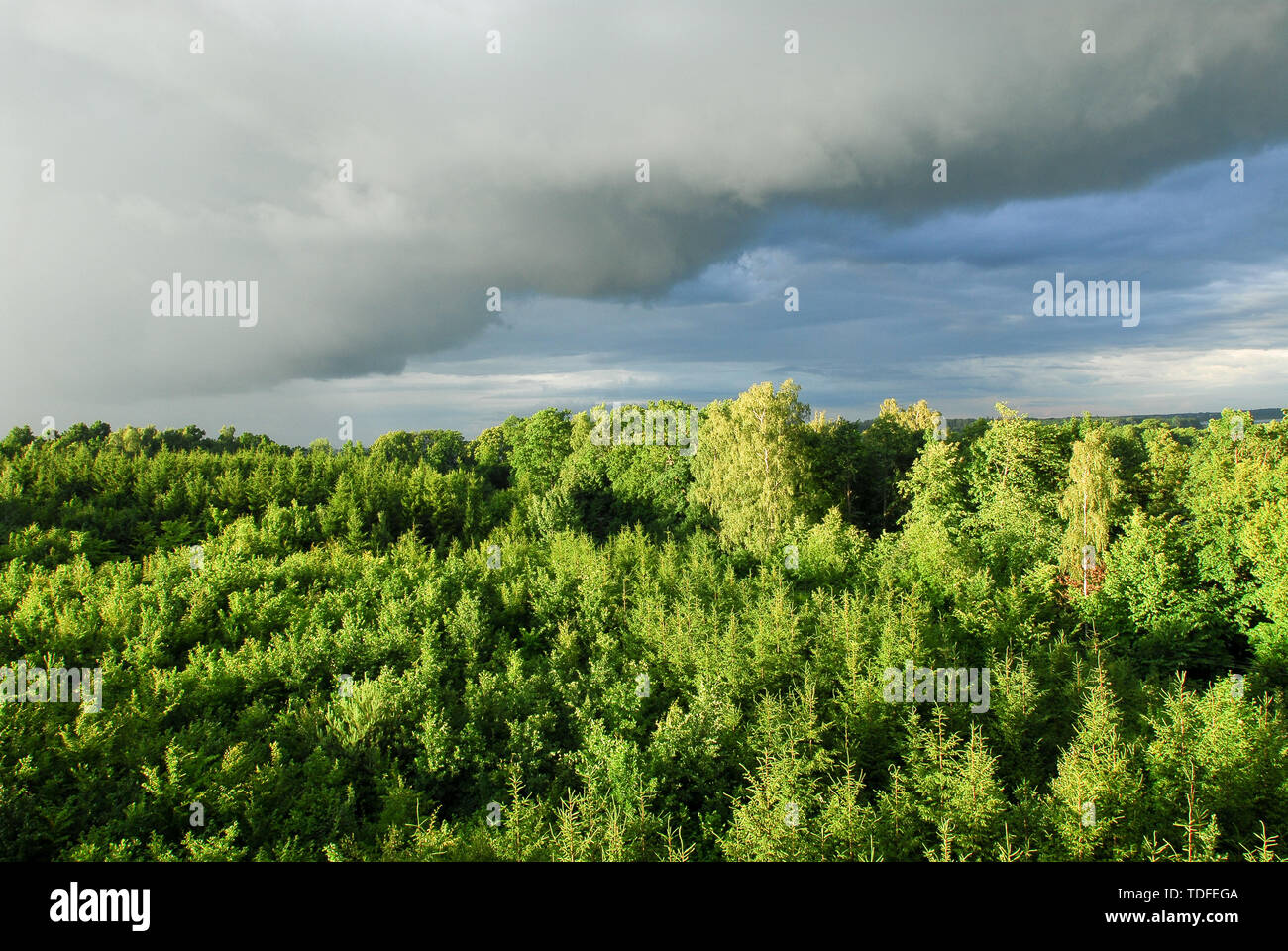 Zone 1 Quelle (quartermaster and logistics operations center) of OKH ...