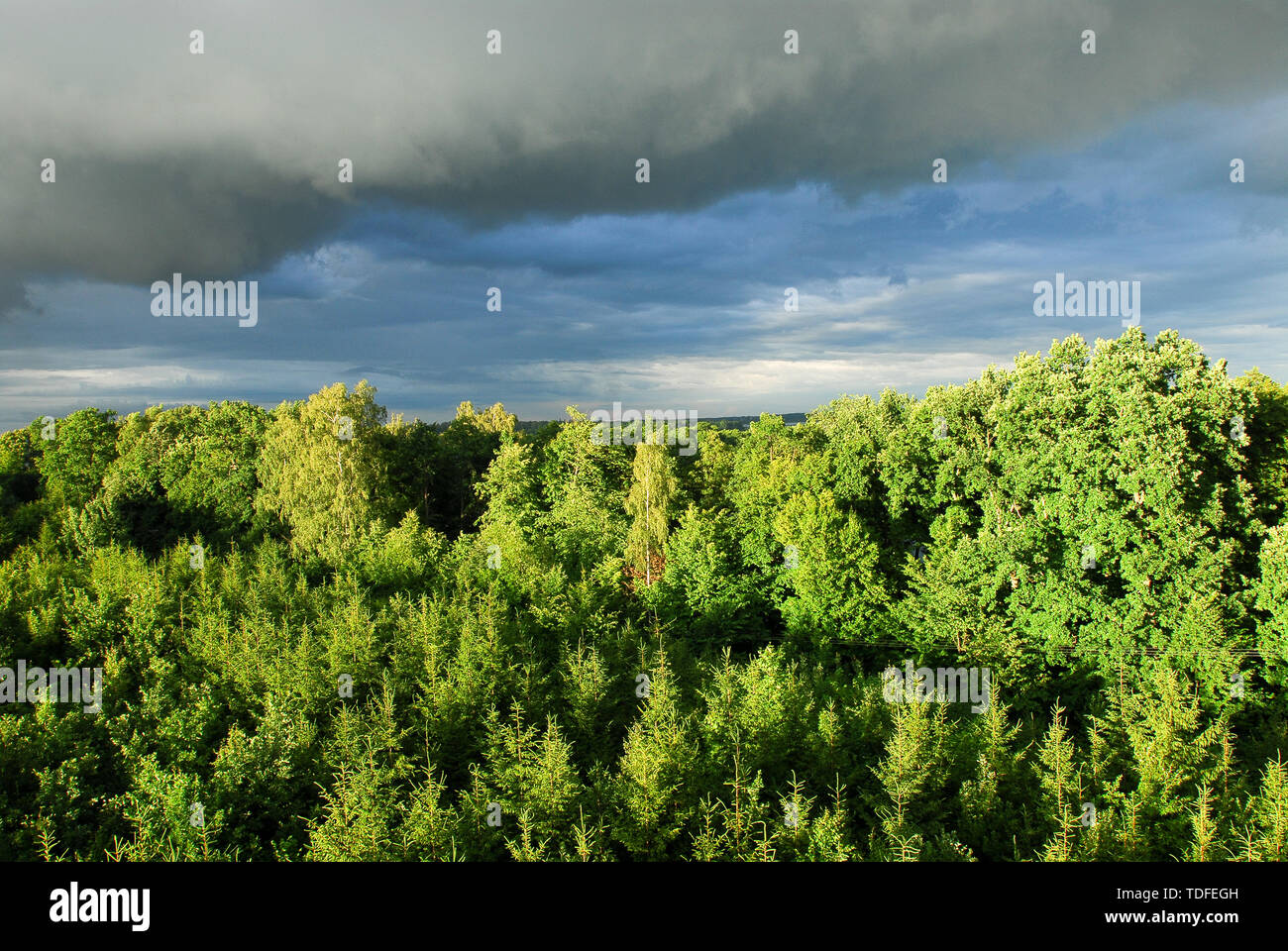 Zone 1 Quelle (quartermaster and logistics operations center) of OKH ...