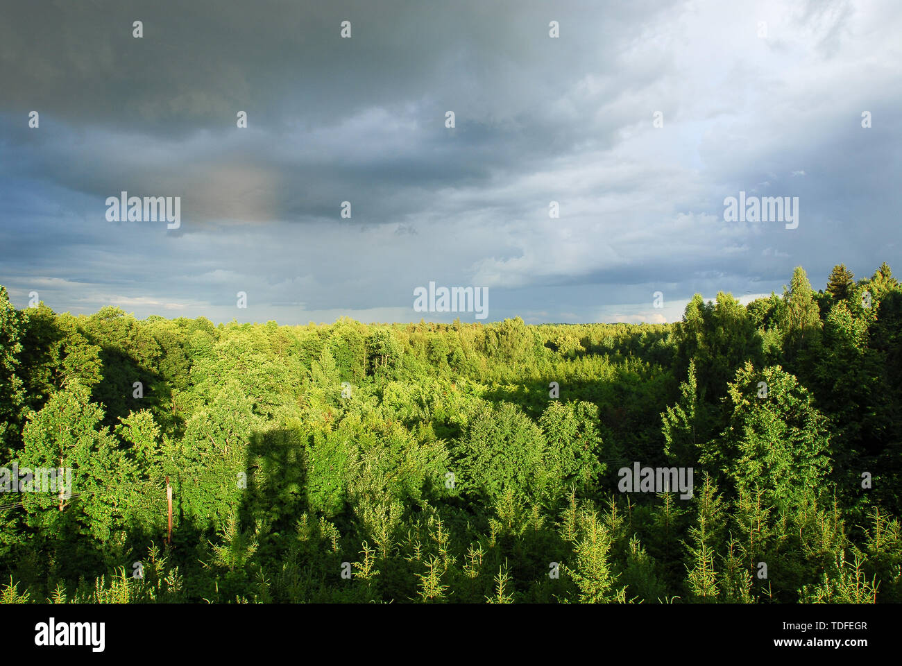 Oberkommando hi-res stock photography and images - Alamy