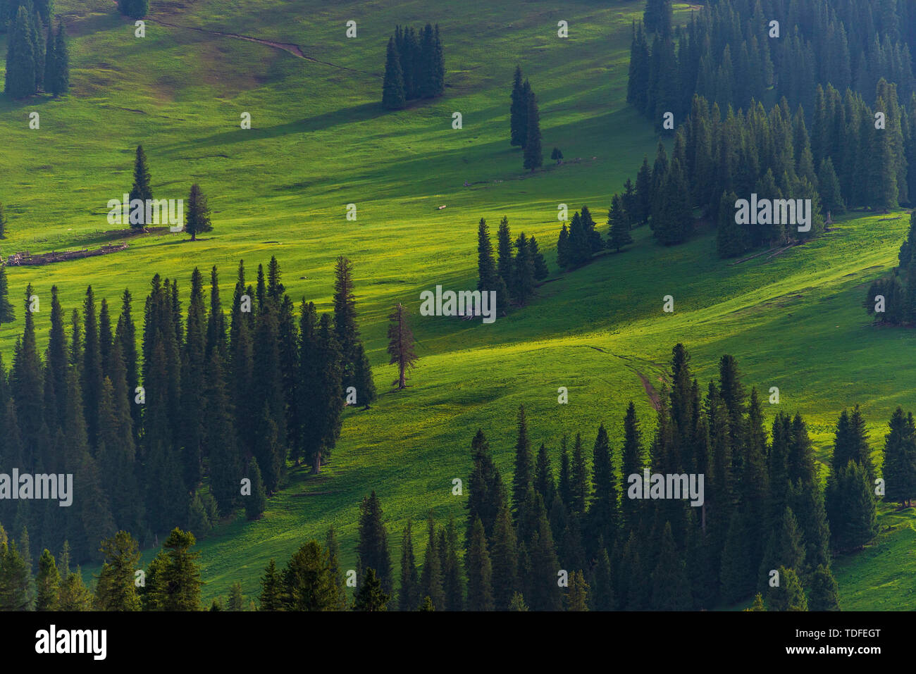 Xinjiang narati prairie hi-res stock photography and images - Alamy