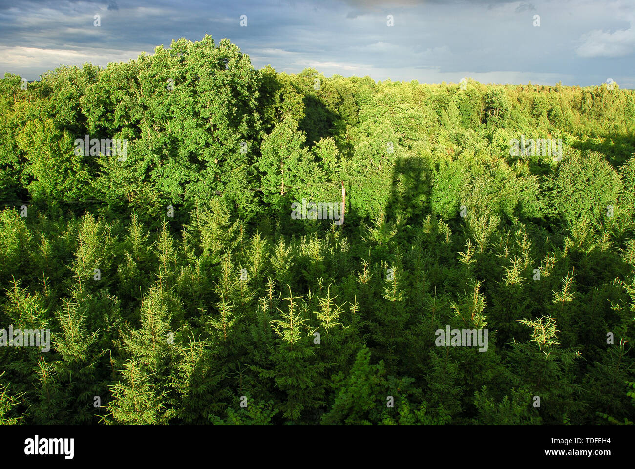Oberkommando des heeres headquarter hi-res stock photography and images ...