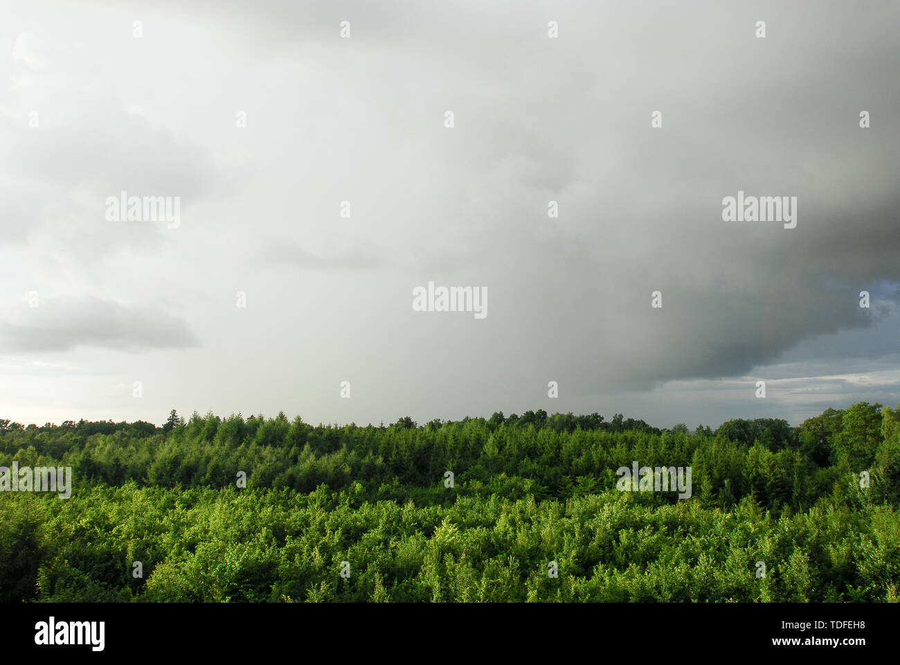 Zone 1 Quelle (quartermaster and logistics operations center) of OKH ...