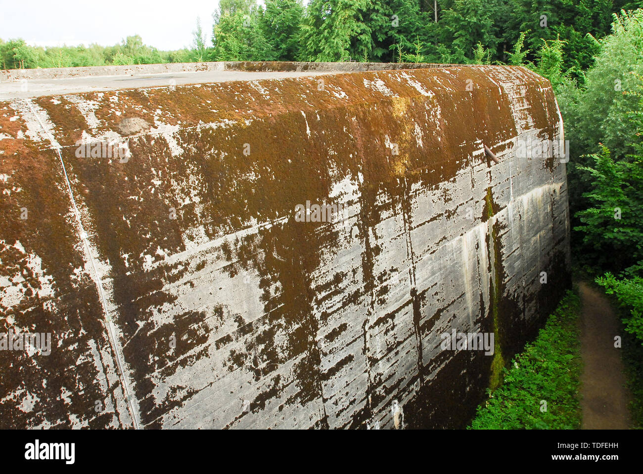 Mauerwald hi-res stock photography and images - Alamy