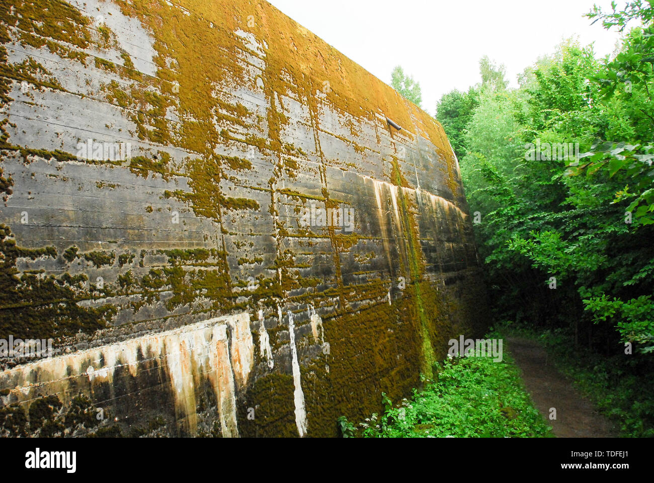Mauerwald hi-res stock photography and images - Alamy
