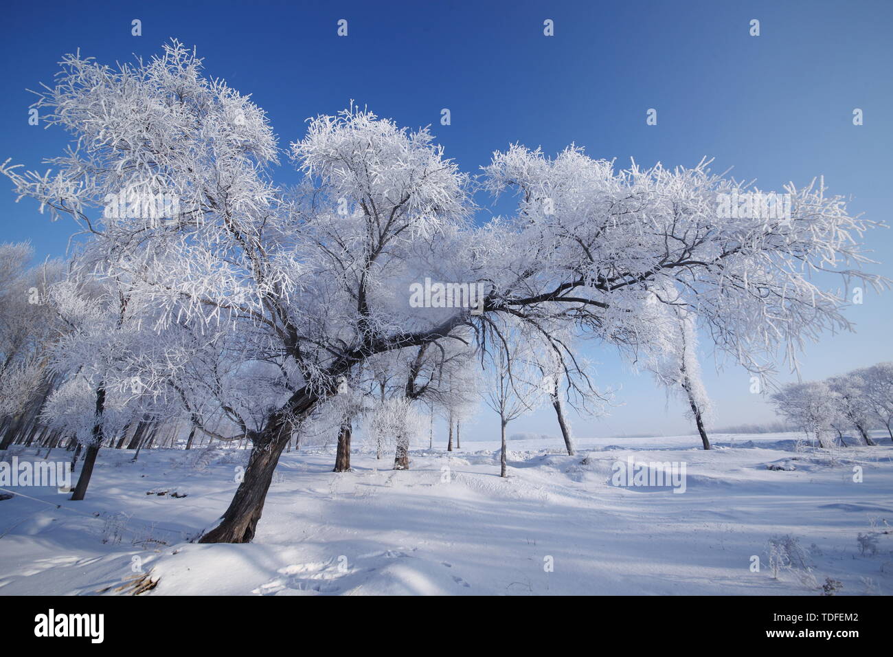 Jilin rime island hi-res stock photography and images - Alamy