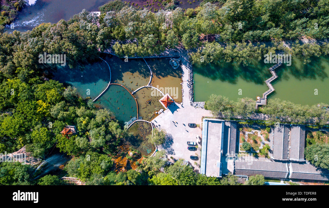 The star track hi-res stock photography and images - Alamy