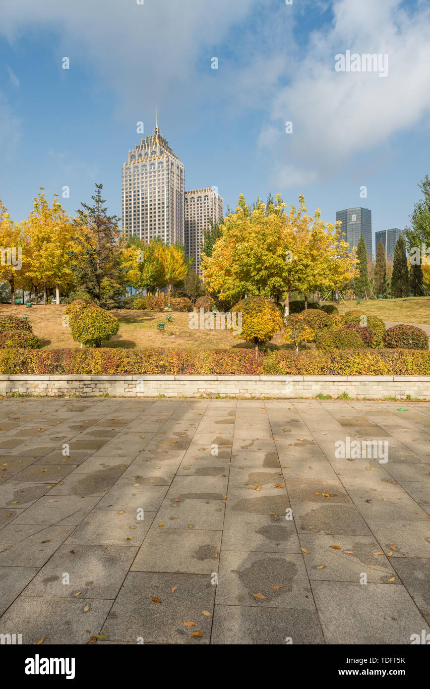 Forest of Autumn City Architecture Park, Shenyang, China Stock Photo ...
