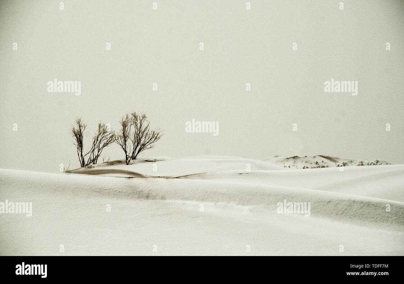 In the ice and snow desert, people's impression of the desert is always ...