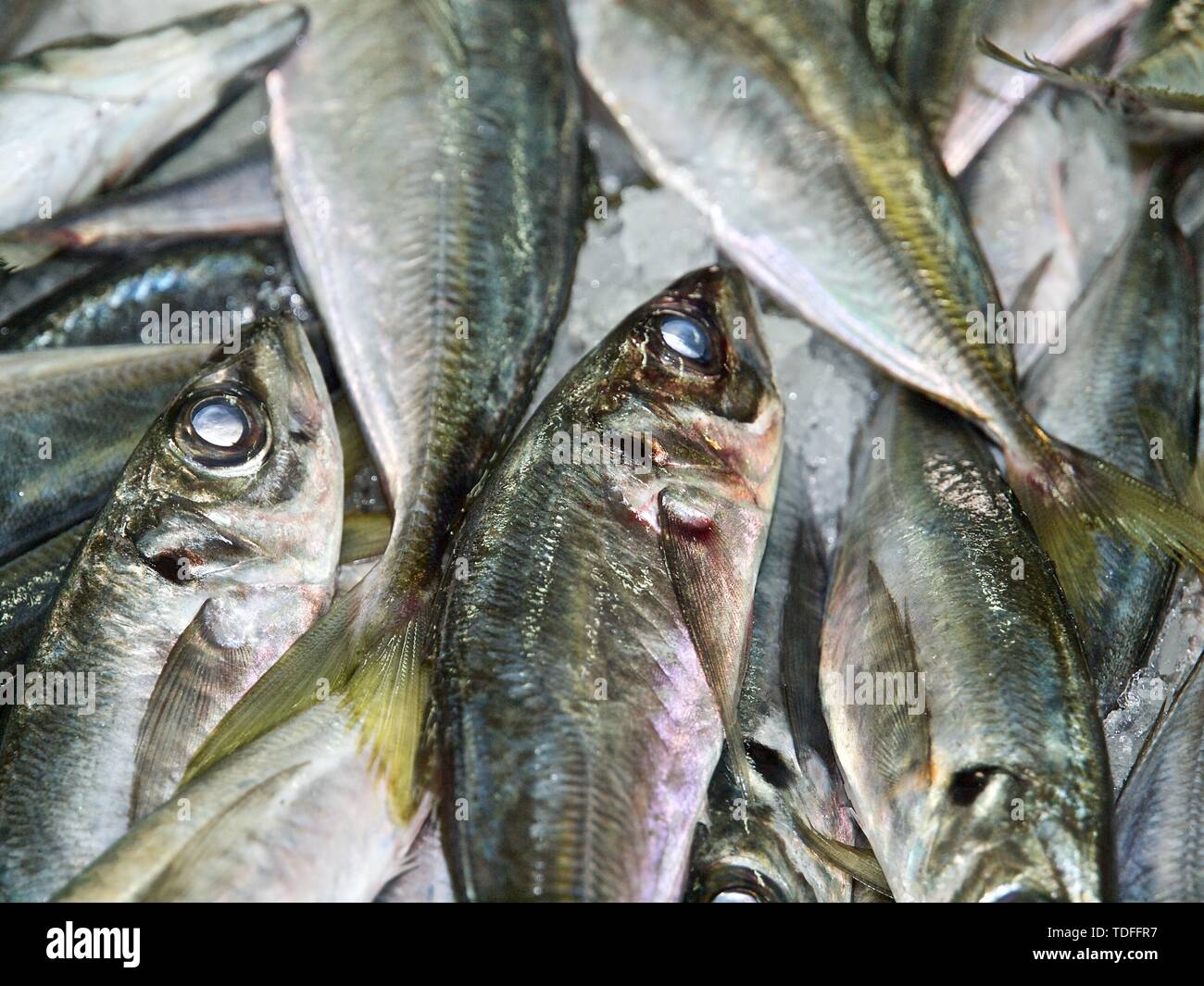 Silver market hi-res stock photography and images - Alamy