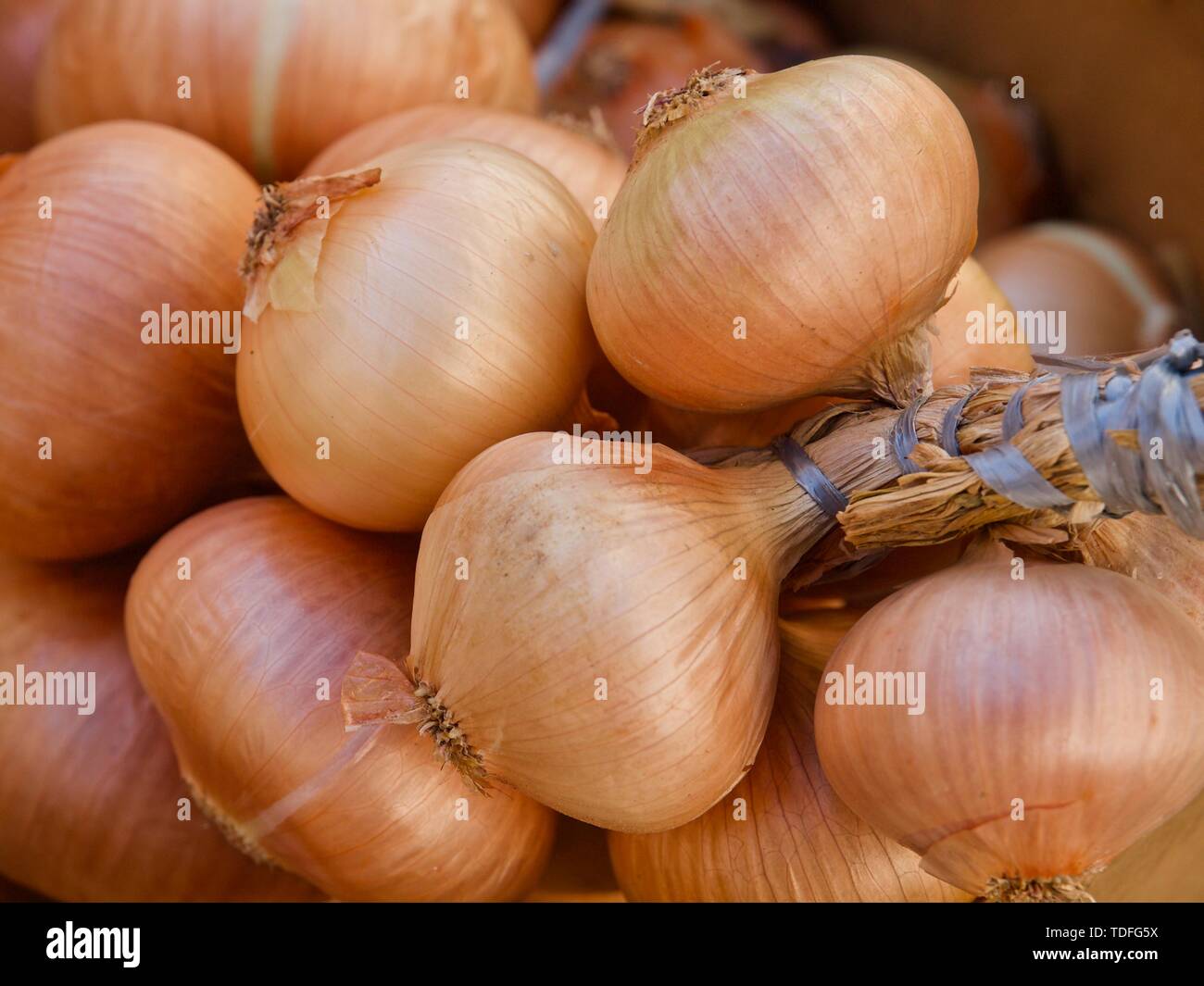 Fresh beautiful whole onions in shells Stock Photo - Alamy
