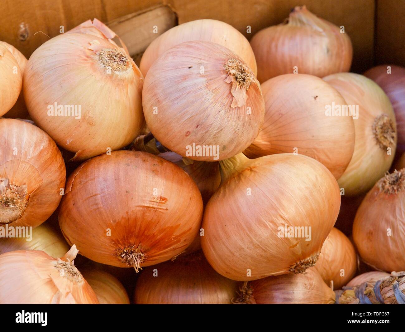 Fresh beautiful whole onions in shells Stock Photo - Alamy