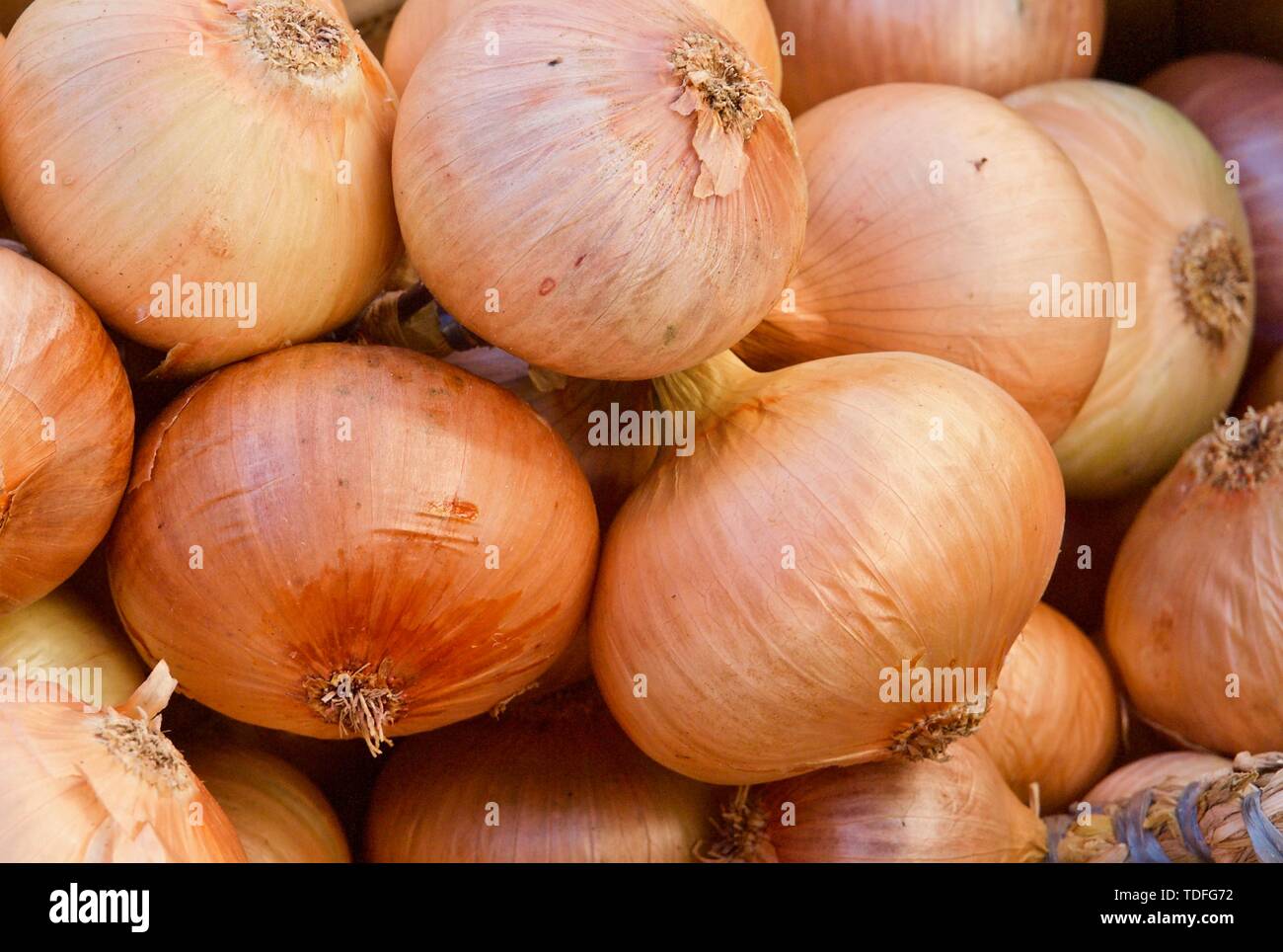 Fresh beautiful whole onions in shells Stock Photo - Alamy