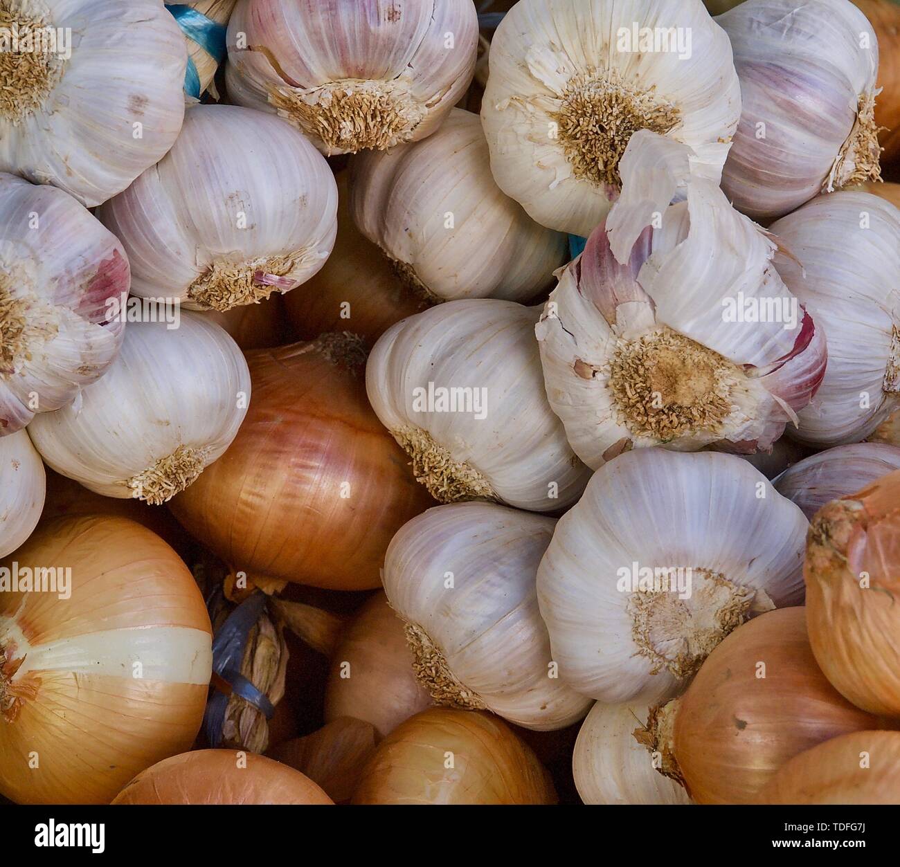 Fresh beautiful whole onions in shells Stock Photo - Alamy