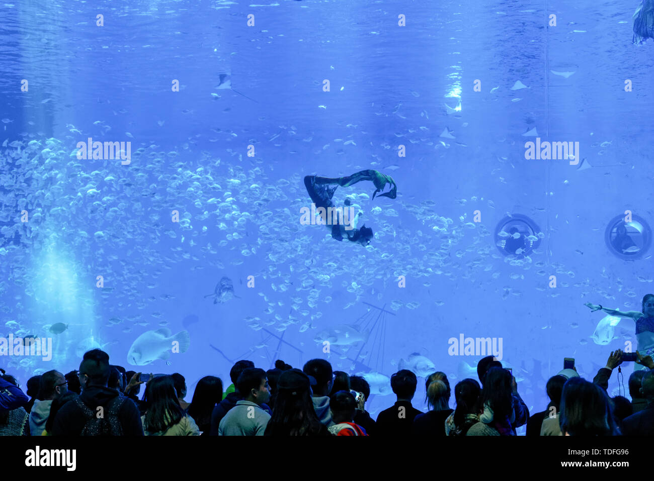 Mermaid performance at Haichang Ocean Park, Shanghai Stock Photo - Alamy