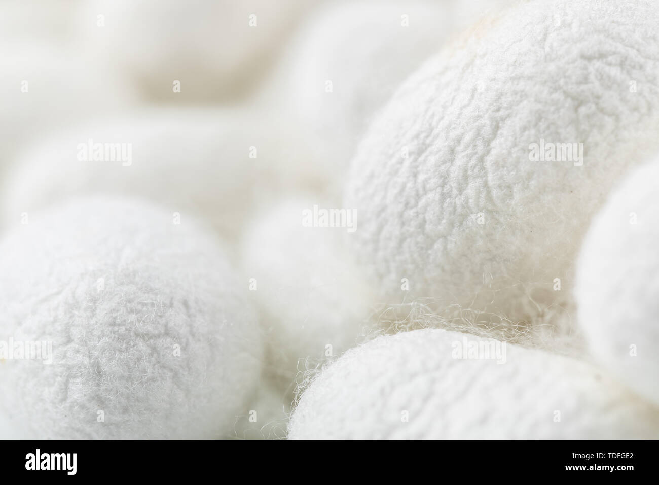 Silkworm cocoon silk fibres hi-res stock photography and images - Alamy