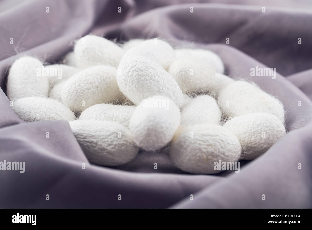 Smooth cocoon hi-res stock photography and images - Alamy