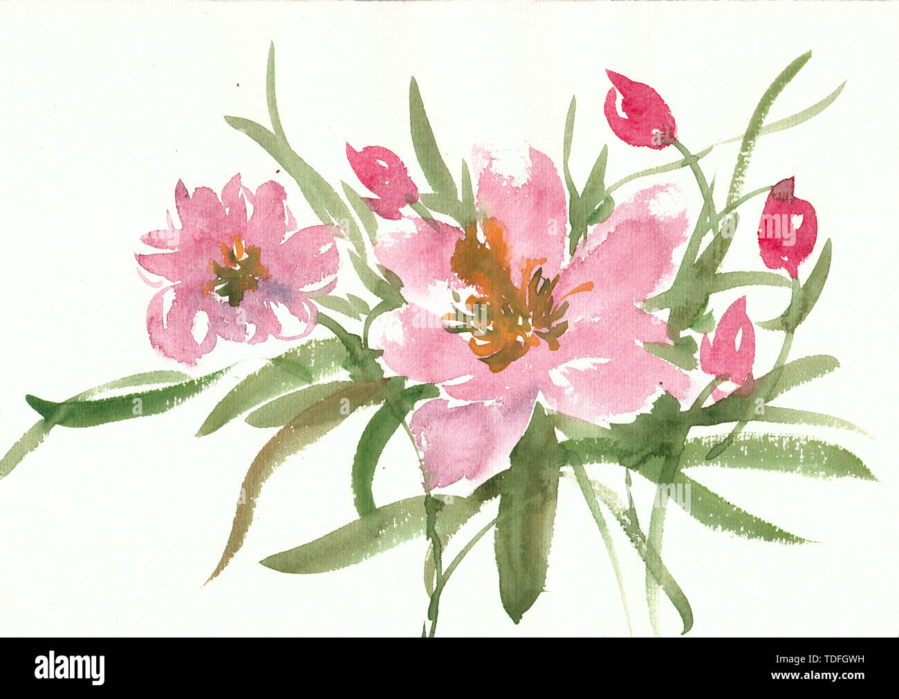 Pure hand-drawn paper manuscripts Stock Photo - Alamy