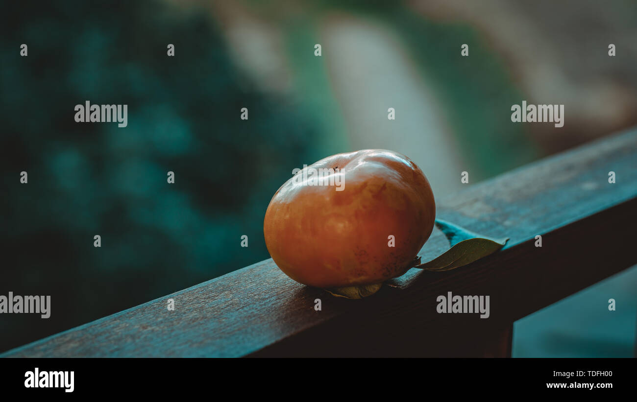 Persimmon festival hi-res stock photography and images - Alamy