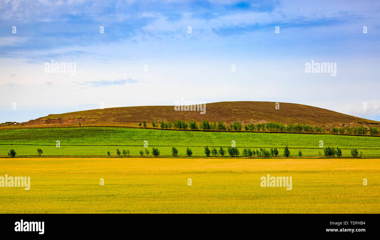 Summer in Hulunbuir Prairie, Inner Mongolia Stock Photo - Alamy