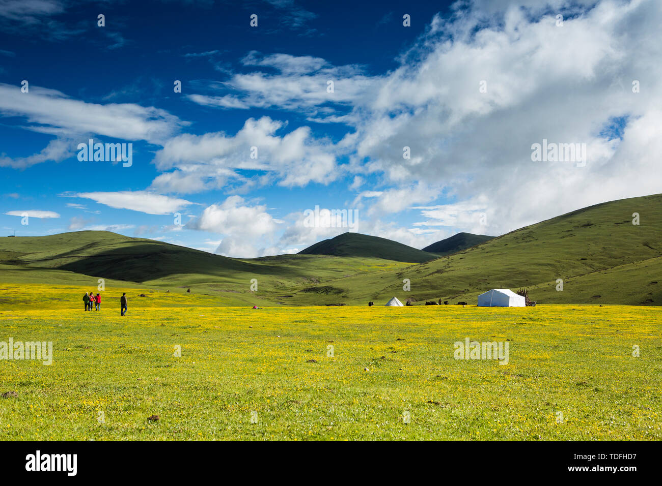 Hongyuan hi-res stock photography and images - Alamy