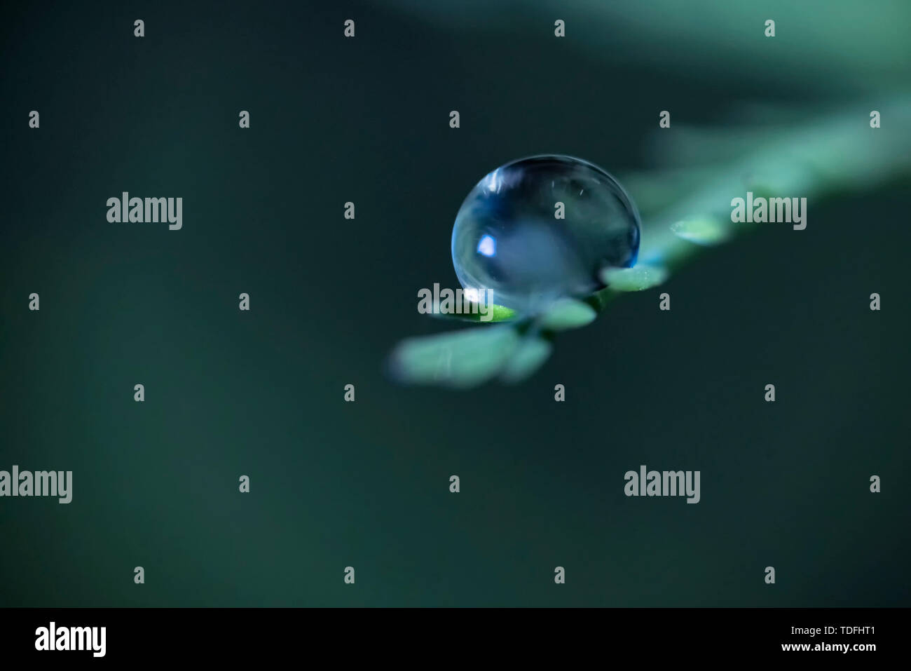 droplets of water Stock Photo - Alamy