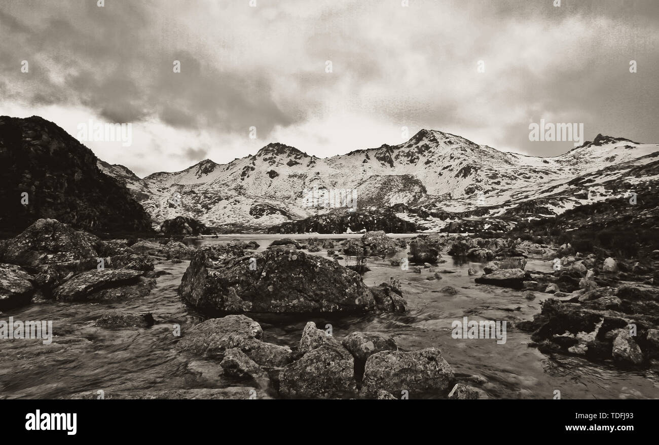 Plateau flower sea, Omutang flower sea Stock Photo - Alamy