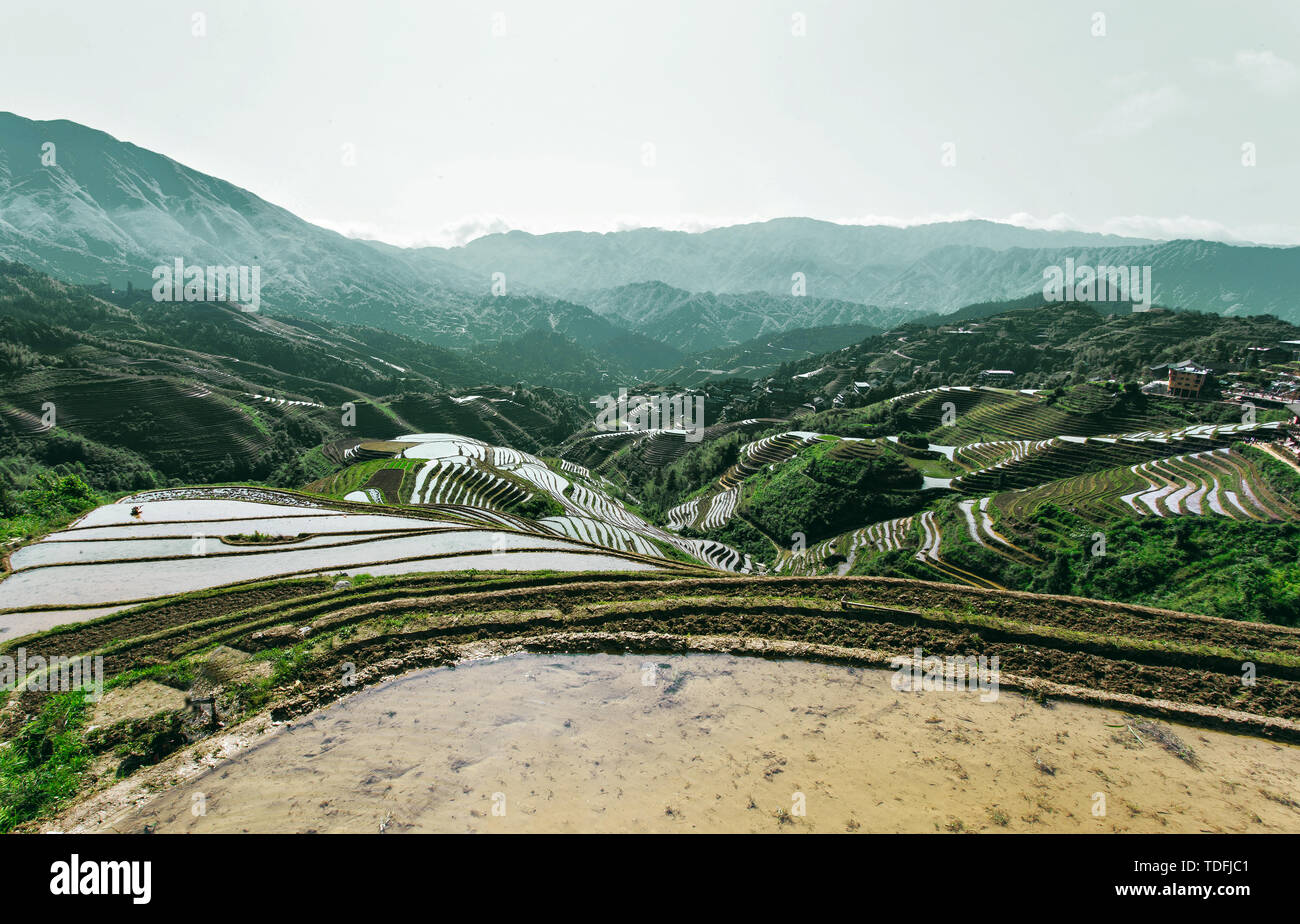 Dragon Ridge terrace Jinkeng Stock Photo - Alamy