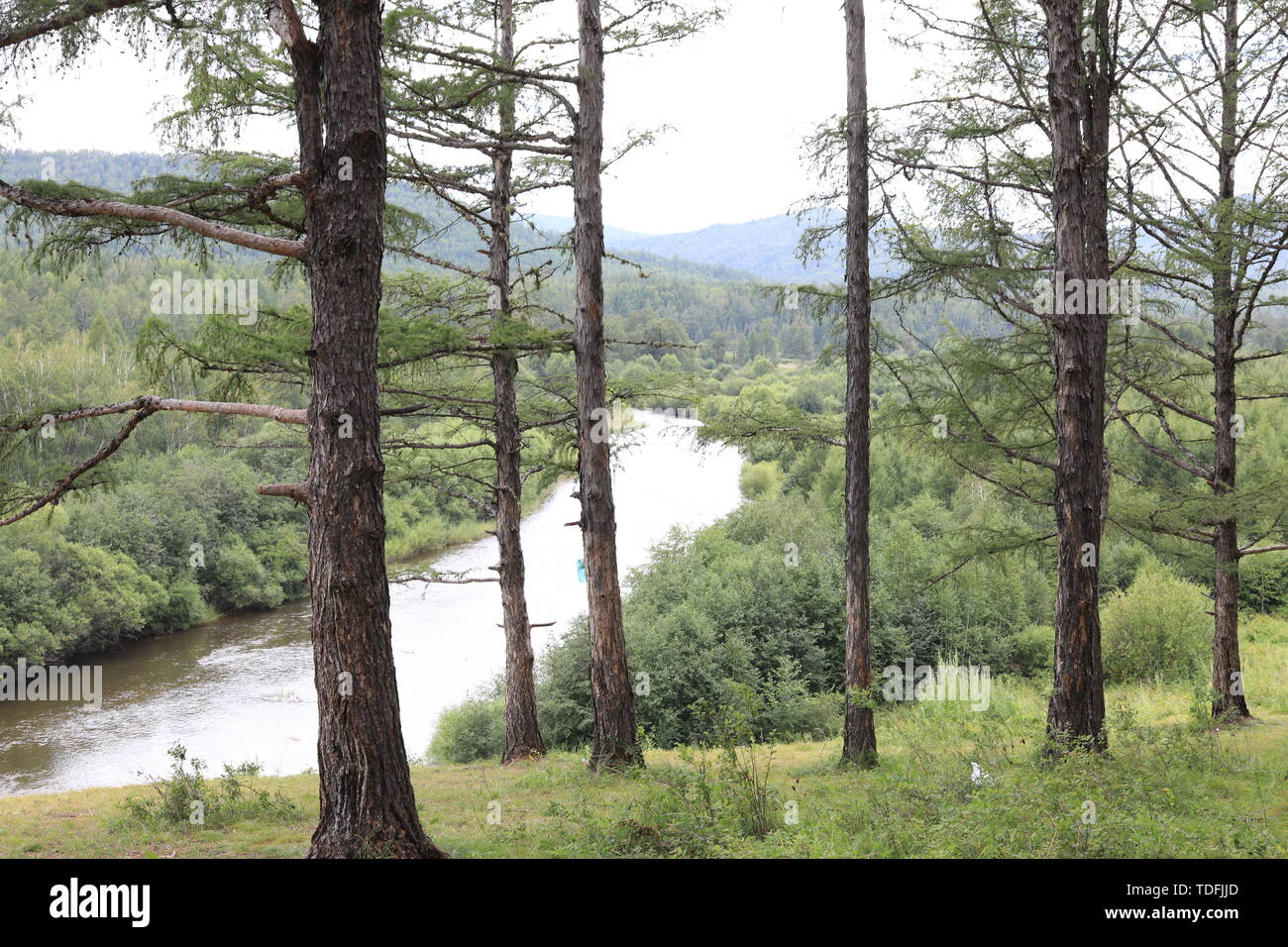 The mordaoga forest park hi-res stock photography and images - Alamy