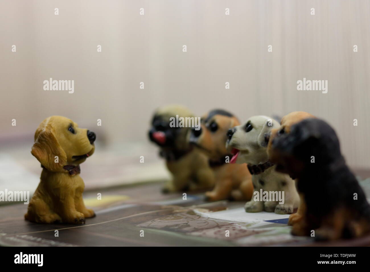 Still life with dog hi-res stock photography and images - Alamy