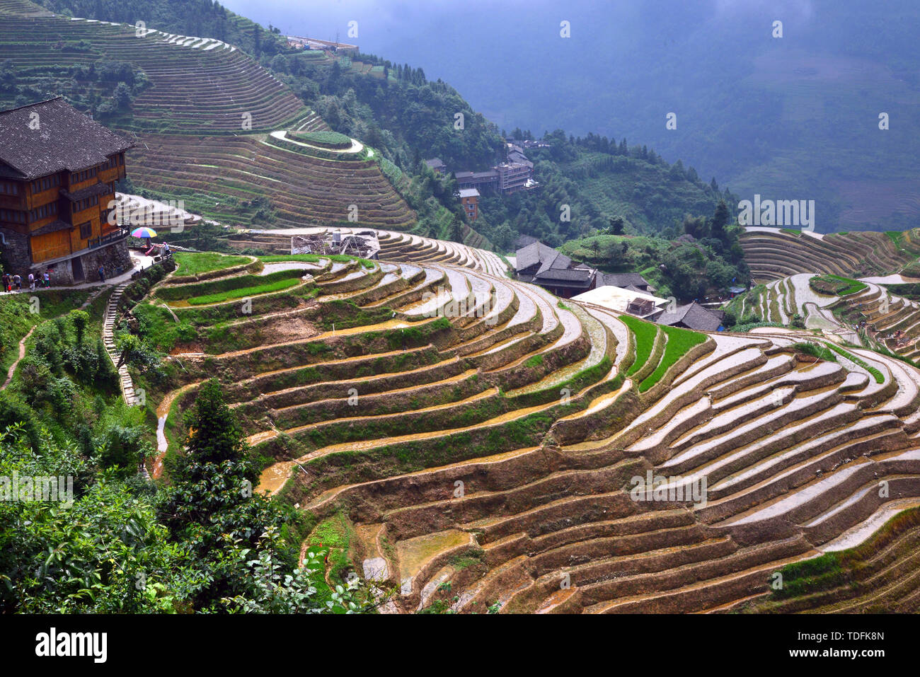 Guangxi dragon ridge terraces beautiful world Stock Photo - Alamy